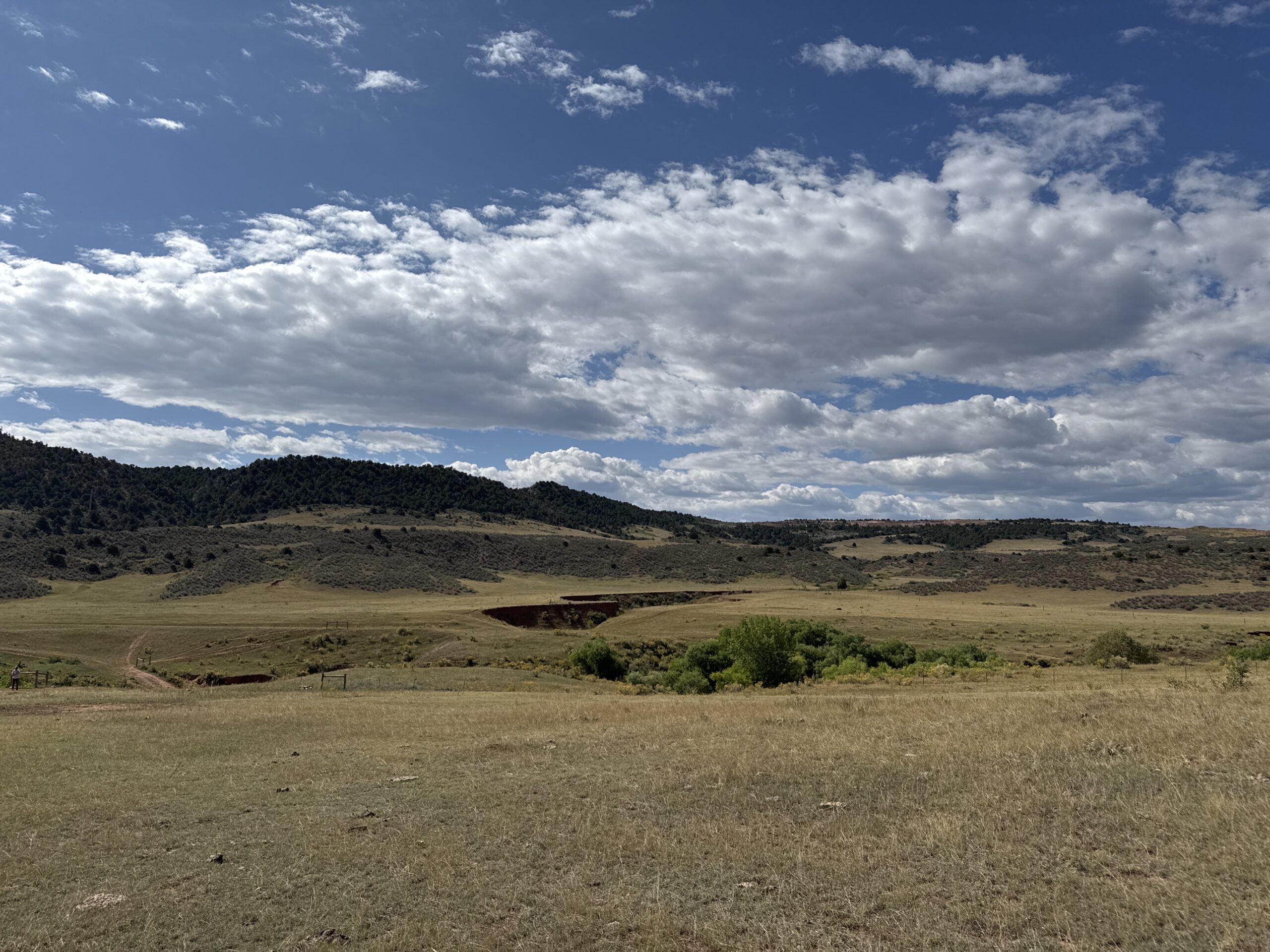 Livermore Colorado CWPP - The Ember Alliance